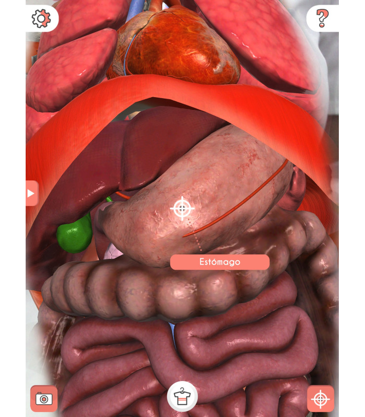 CAMISETAS ANATOMÍA REALIDAD VIRTUAL INFANTIL 25 UND, comprar online
